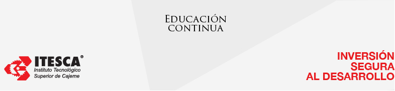 Profesionales en Educación Continua